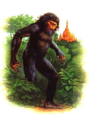 Batutut | Cryptid Wiki | Fandom