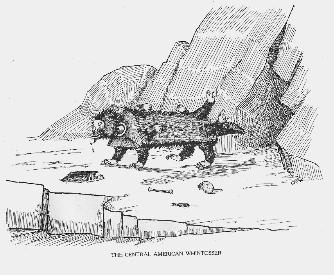 Central American Whintosser | Cryptid Wiki | Fandom