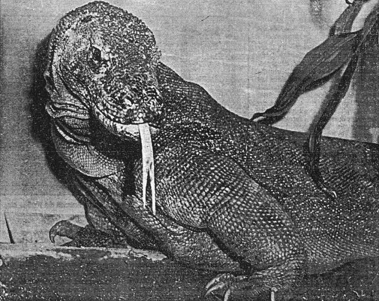 Artrellia | Cryptid Wiki | Fandom