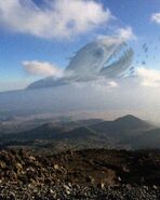 Behemoth | Cryptid Wiki | Fandom