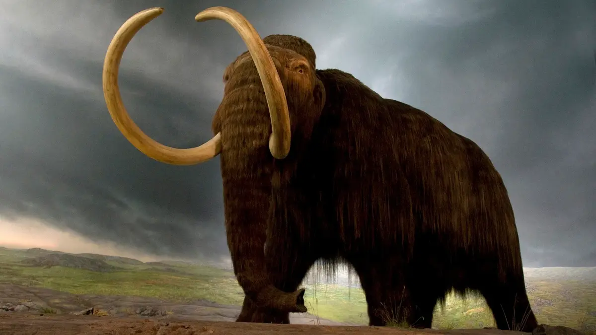 Woolly Mammoth | Cryptid Wiki | Fandom