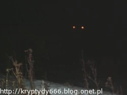 Pomórnik | Cryptid Wiki | Fandom