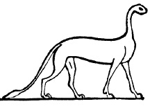 Sta | Cryptid Wiki | Fandom