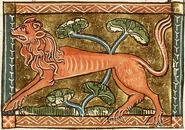 Pard | Cryptid Wiki | Fandom