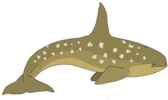 Alula Whale | Cryptid Wiki | Fandom