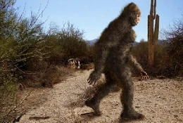 Yucca Man | Cryptid Wiki | Fandom
