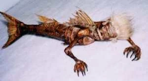 Micro-Mermaid | Cryptid Wiki | Fandom