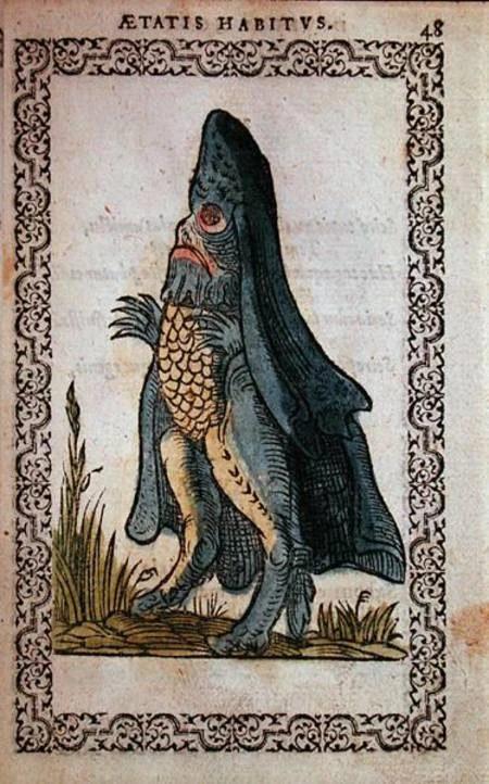 Sea Monk | Cryptid Wiki | Fandom