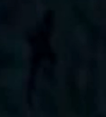 Obojoki | Cryptid Wiki | Fandom
