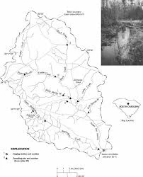 Lizard Man of Scape Ore Swamp | Cryptid Wiki | Fandom