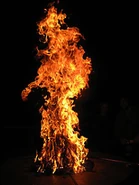 Cherufe | Cryptid Wiki | Fandom