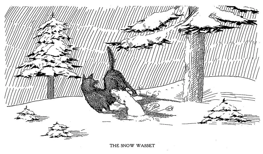 Snow Wasset | Cryptid Wiki | Fandom