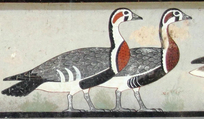 Meidum Goose | Cryptid Wiki | Fandom