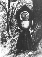 Cryptids of Appalachia | Cryptid Wiki | Fandom