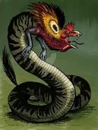 Cockatrice | Cryptid Wiki | Fandom