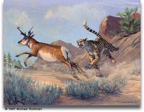 Onza | Cryptid Wiki | Fandom