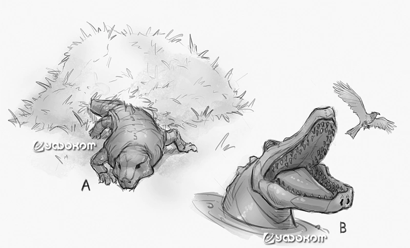 Charlyok | Cryptid Wiki | Fandom