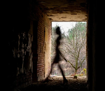 Shadow People | Cryptid Wiki | Fandom