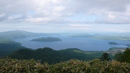 Kussie | Cryptid Wiki | Fandom