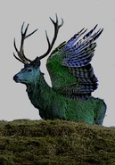 Peryton | Cryptid Wiki | Fandom