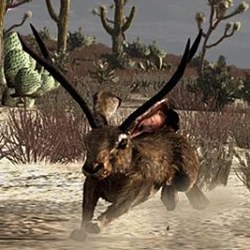 jackalope description