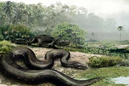 Florida | Cryptid Wiki | Fandom