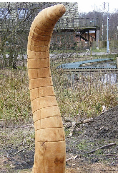 Minhocão | Cryptid Wiki | Fandom