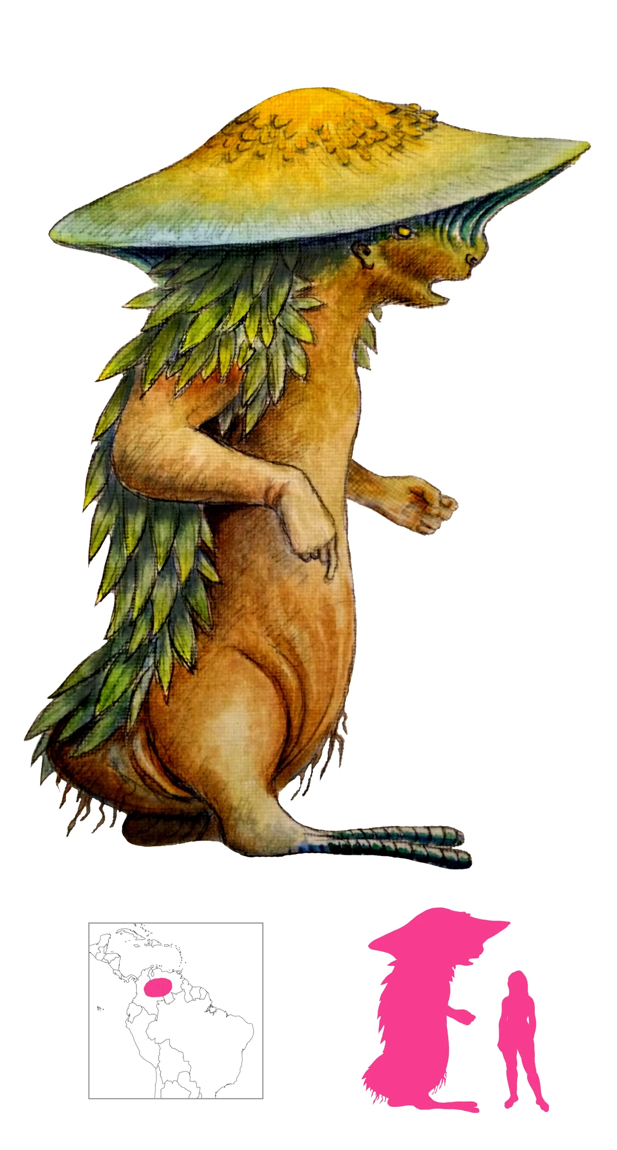 Kayeri | Cryptid Wiki | Fandom