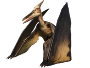 Ahool | Cryptid Wiki | Fandom