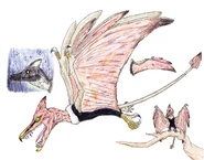 Ropen | Cryptid Wiki | Fandom