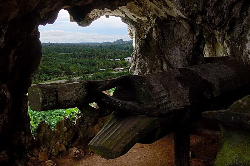 Nabau | Cryptid Wiki | Fandom