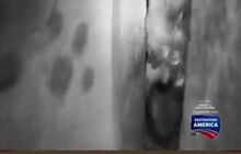 Appalachian Chupacabra | Cryptid Wiki | Fandom