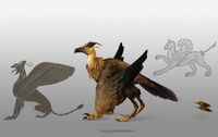 Griffins | Cryptid Wiki | Fandom