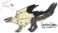 Griffins | Cryptid Wiki | Fandom