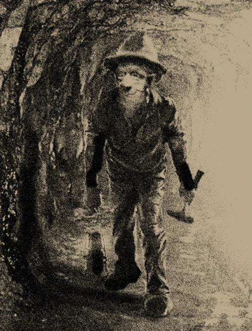 Barreterito | Cryptid Wiki | Fandom