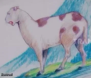 Cehehe | Cryptid Wiki | Fandom