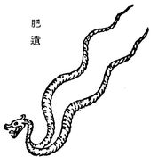 Feiyi | Cryptid Wiki | Fandom