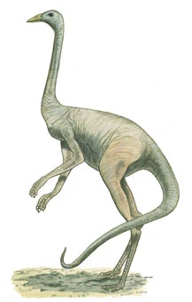 Gauarge | Cryptid Wiki | Fandom