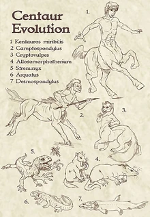 Centaurs | Cryptid Wiki | Fandom