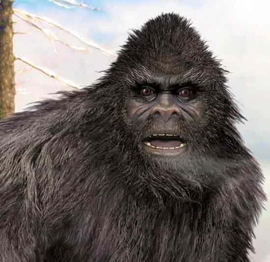 Boston Bahumagosh | Cryptid Wiki | Fandom