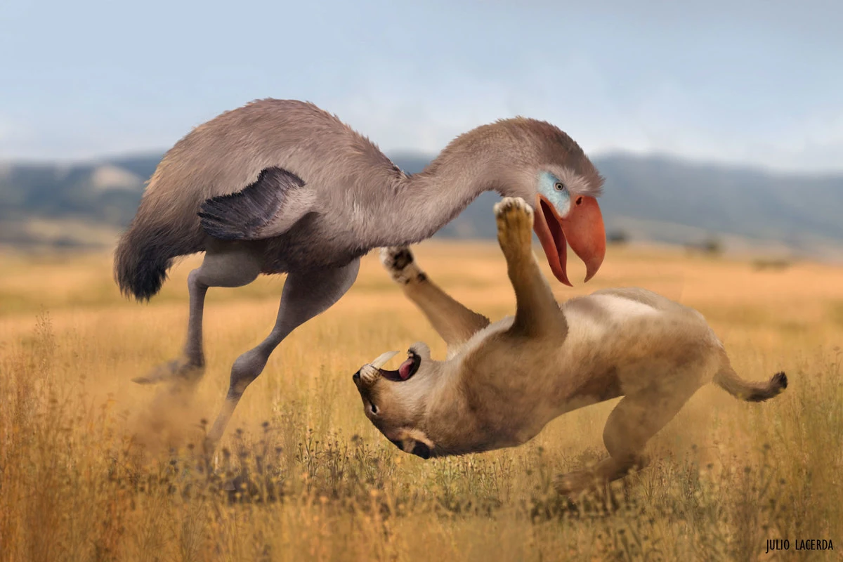 Tuyango | Cryptid Wiki | Fandom