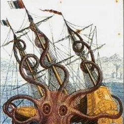 kraken description