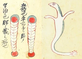 User blog:Praying Mantis Man/Top 10 Cryptid Insects, Bugs, Germs and ...