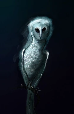Andaman Wood Owl | Cryptid Wiki | Fandom