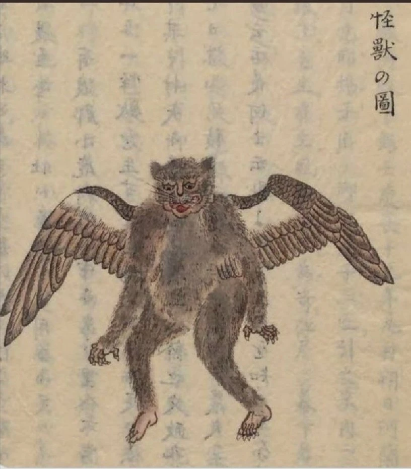 Unnamed Kaiju | Cryptid Wiki | Fandom