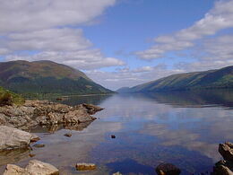 Lizzie | Cryptid Wiki | Fandom