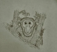 Troll | Cryptid Wiki | Fandom