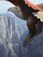 Roc | Cryptid Wiki | Fandom