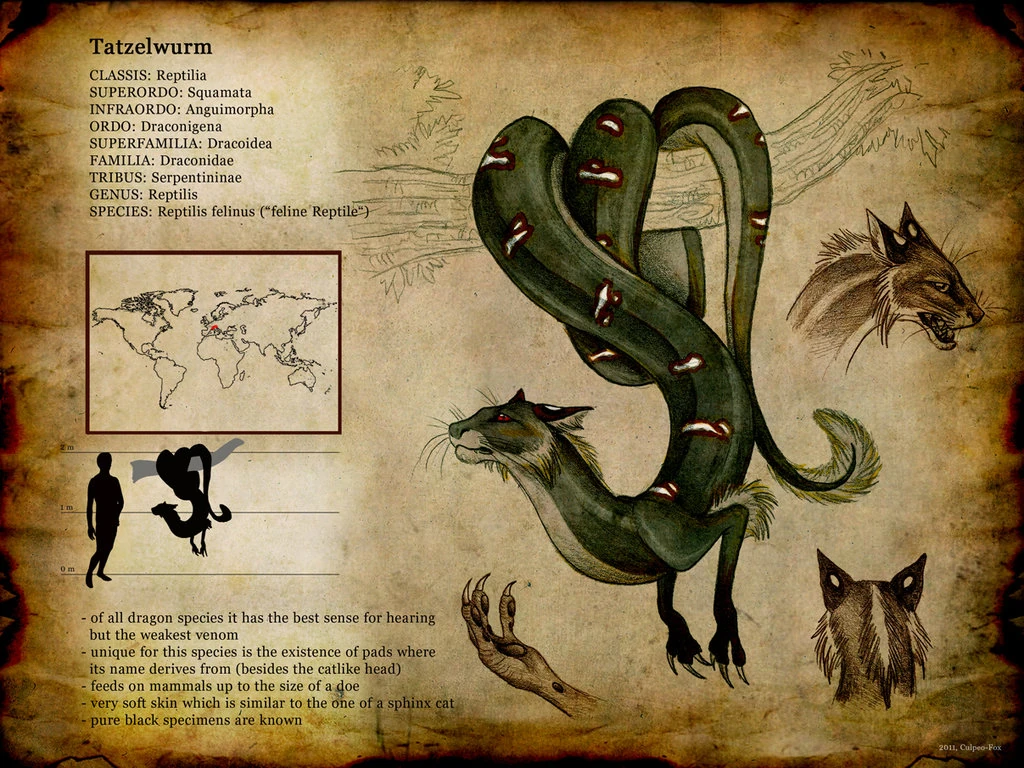 Tatzelwurm | Cryptid Wiki | Fandom