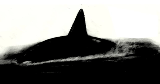 Alula Whale | Cryptid Wiki | Fandom